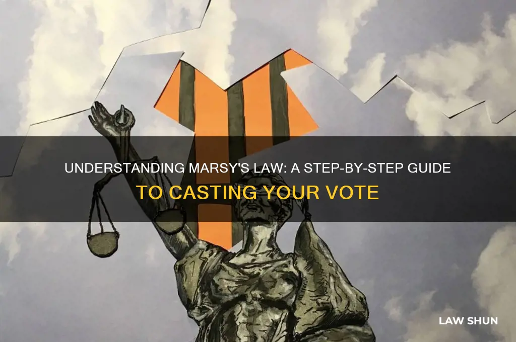 Understanding Marsy's Law: A Step-By-Step Guide To Casting Your Vote ...