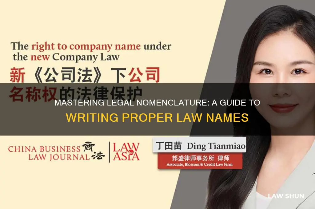 Mastering Legal Nomenclature: A Guide To Writing Proper Law Names | LawShun