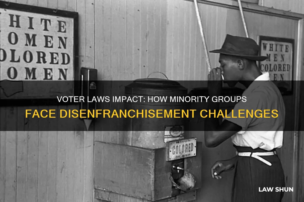 Voter Laws Impact: How Minority Groups Face Disenfranchisement ...