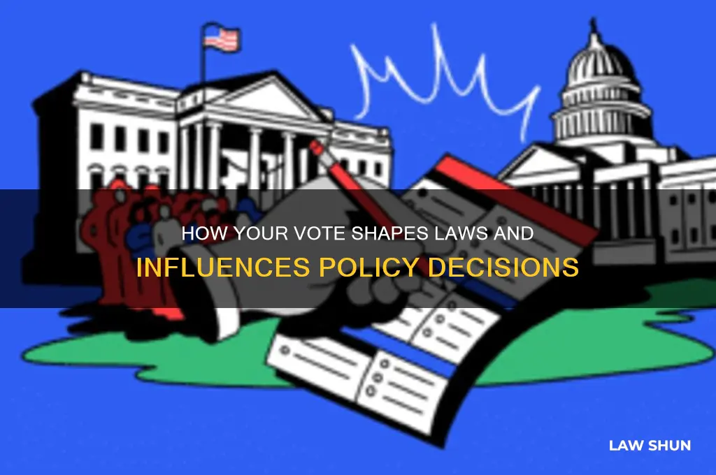 How Your Vote Shapes Laws And Influences Policy Decisions | LawShun