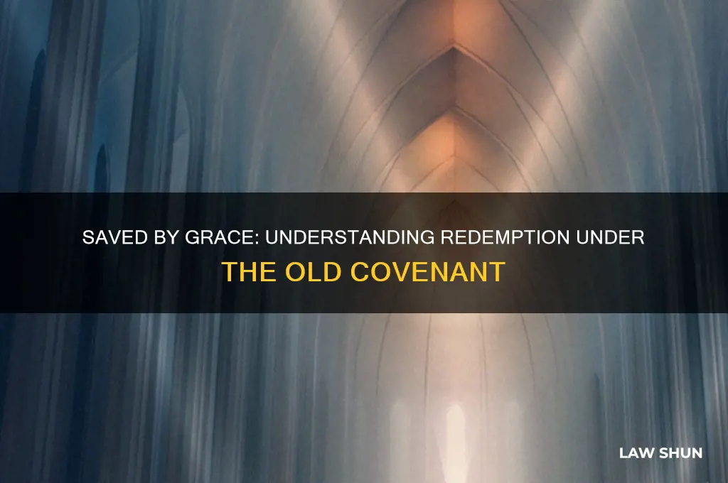 Saved By Grace: Understanding Redemption Under The Old Covenant | LawShun