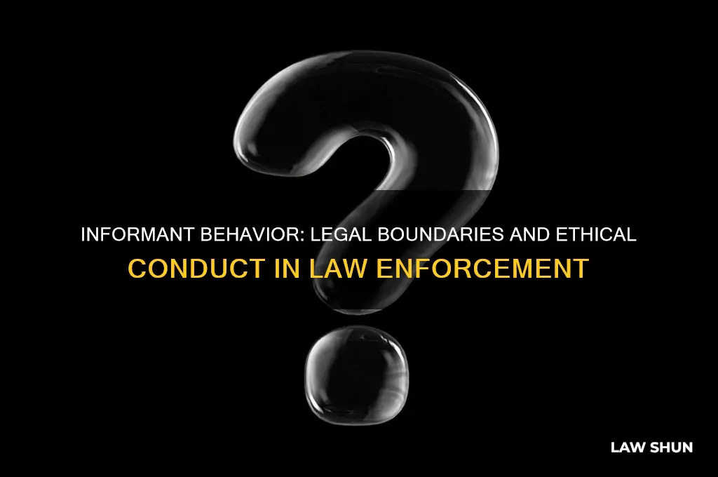 Informant Behavior: Legal Boundaries And Ethical Conduct In Law ...