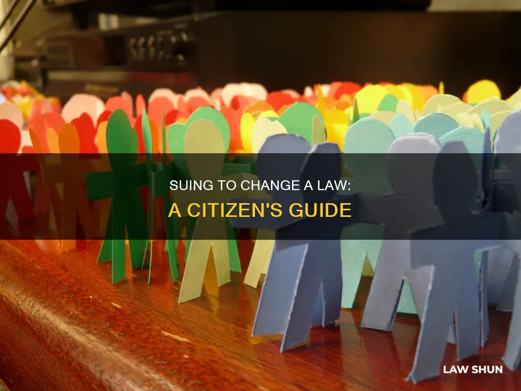 Suing To Change A Law: A Citizen's Guide | LawShun