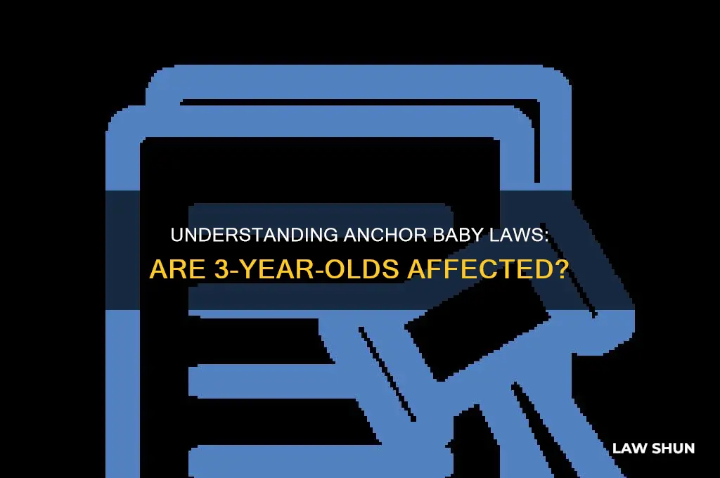 Understanding Anchor Baby Laws: Are 3-Year-Olds Affected? | LawShun