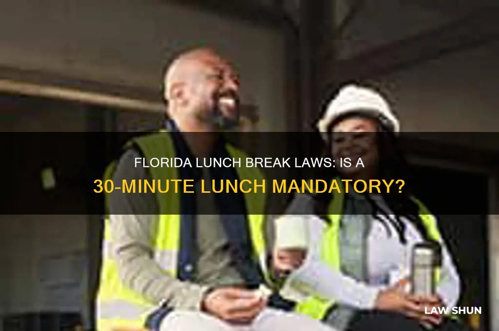 Florida Lunch Break Laws: Is A 30-Minute Lunch Mandatory? | LawShun