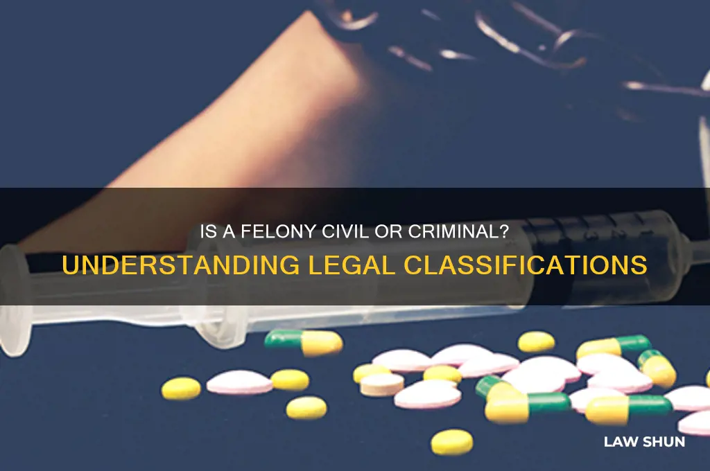Is A Felony Civil Or Criminal? Understanding Legal Classifications ...