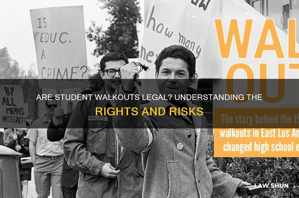 Are Student Walkouts Legal? Understanding The Rights And Risks | LawShun