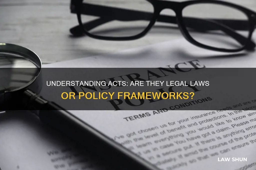 Understanding Acts: Are They Legal Laws Or Policy Frameworks? | LawShun
