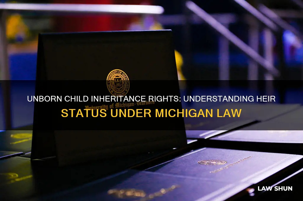 Unborn Child Inheritance Rights: Understanding Heir Status Under ...