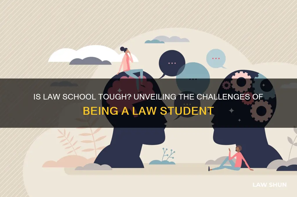 Is Law School Tough? Unveiling The Challenges Of Being A Law Student ...