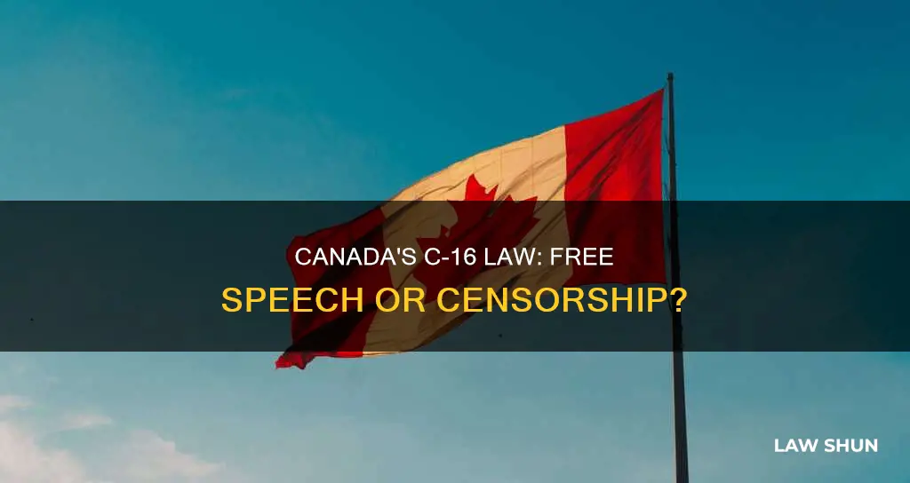 Canada's C-16 Law: Free Speech Or Censorship? | LawShun