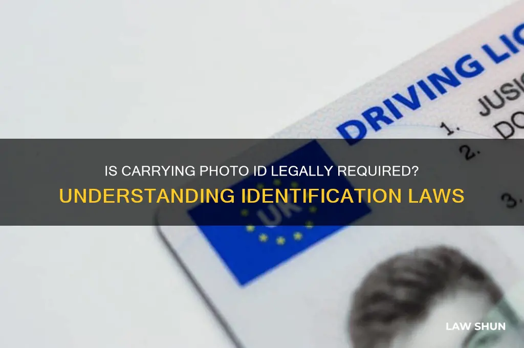 Is Carrying Photo Id Legally Required? Understanding Identification ...