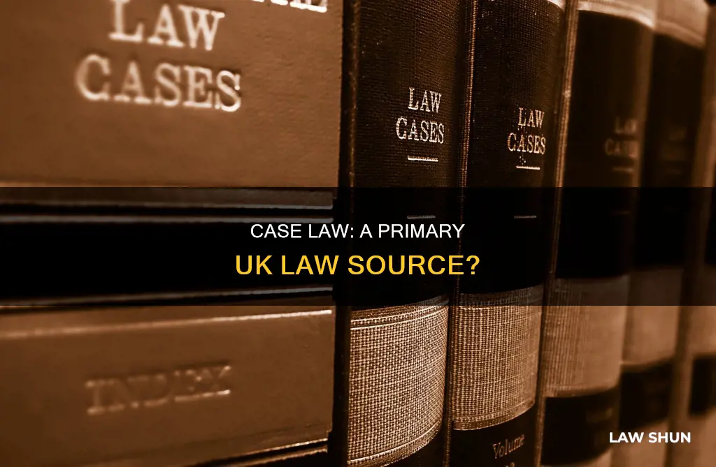 Case Law: A Primary Uk Law Source? | LawShun