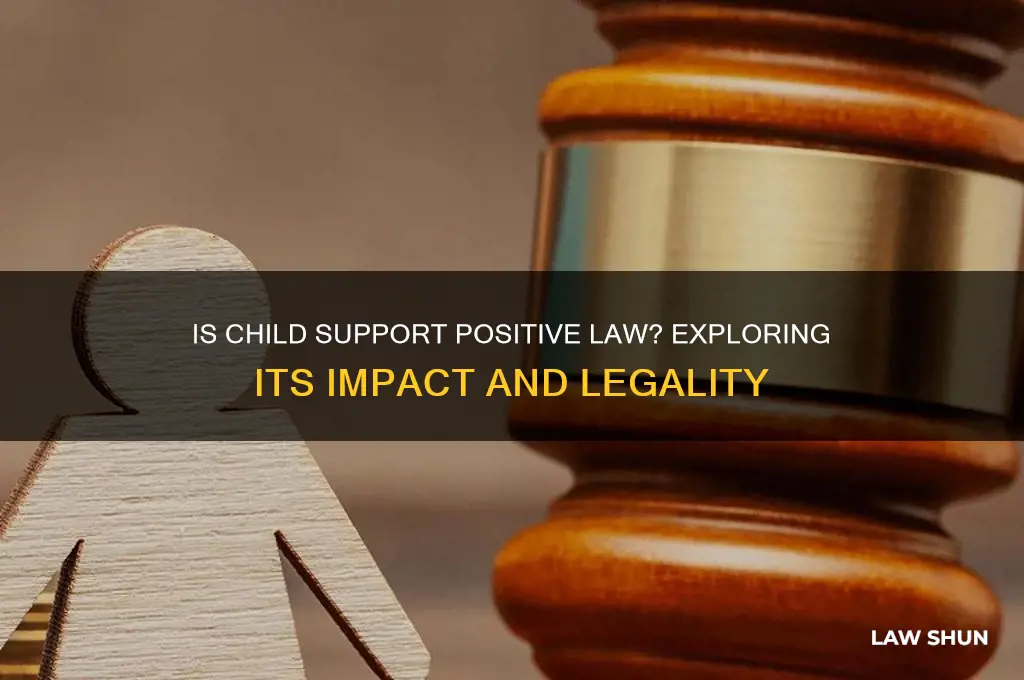 Is Child Support Positive Law? Exploring Its Impact And Legality | LawShun
