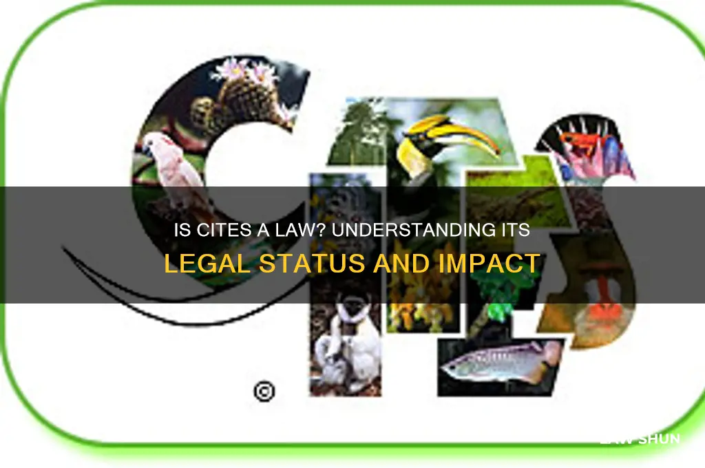 Is Cites A Law? Understanding Its Legal Status And Impact | LawShun