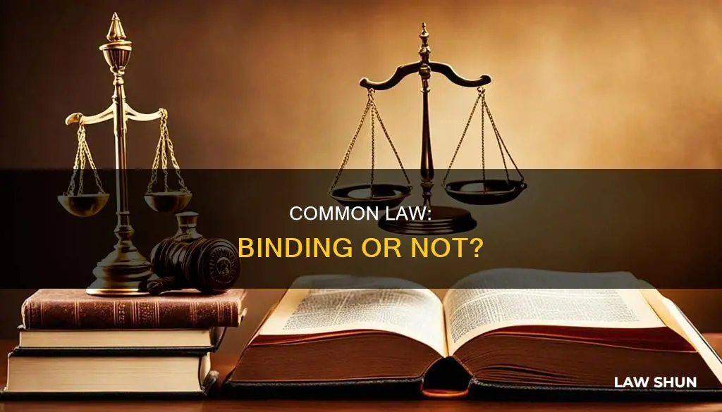 Common Law: Binding Or Not? | LawShun