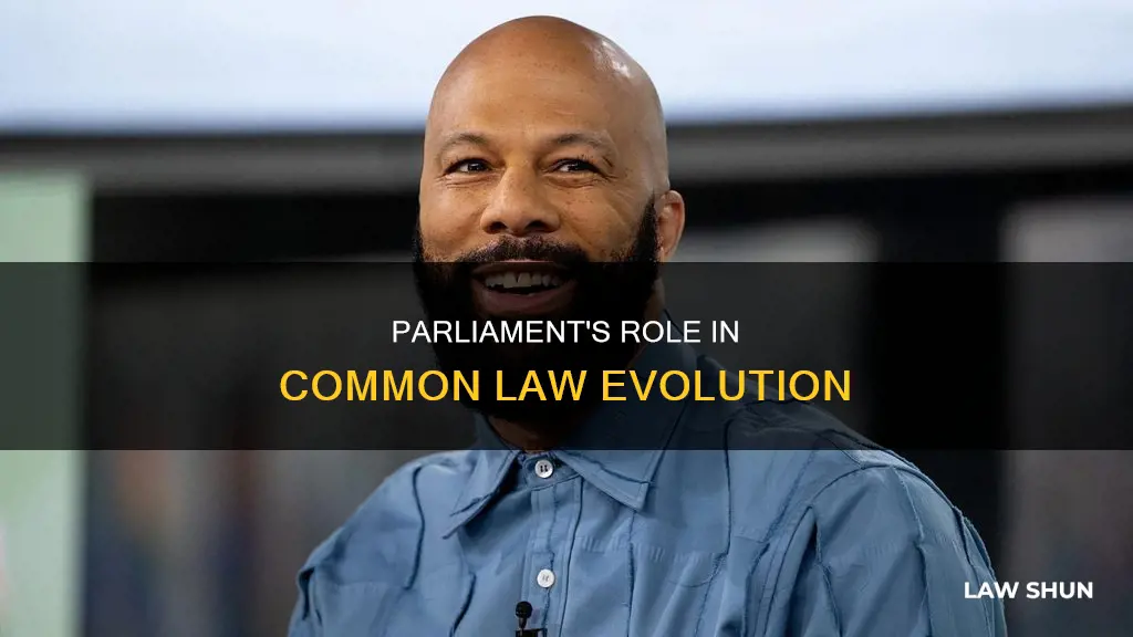 Parliament's Role In Common Law Evolution | LawShun