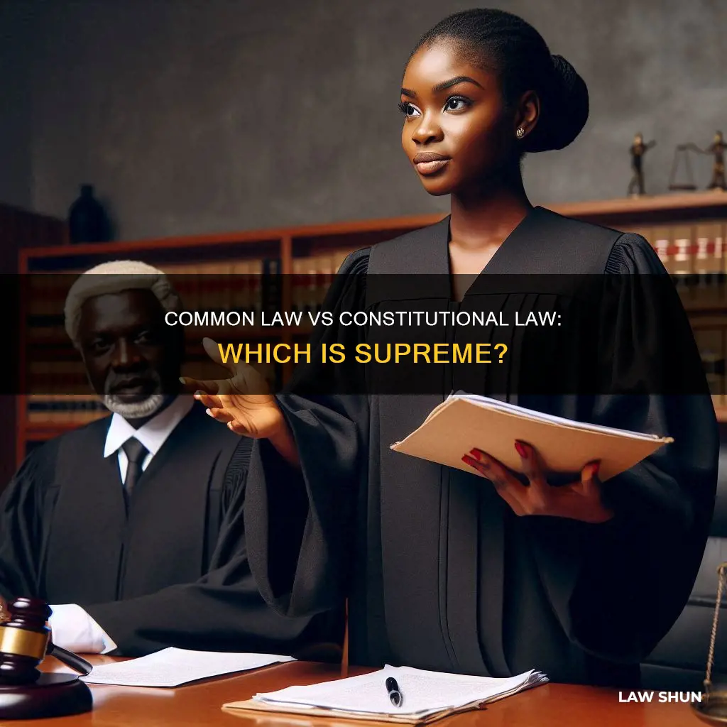 Common Law Vs Constitutional Law: Which Is Supreme? | LawShun