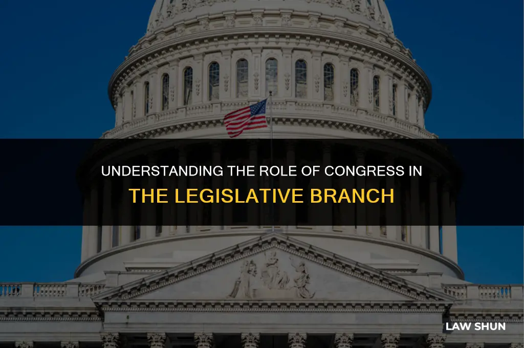 Understanding The Role Of Congress In The Legislative Branch | LawShun