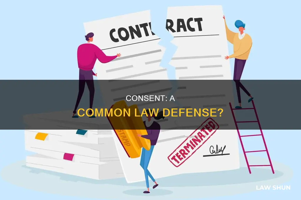 Consent: A Common Law Defense? | LawShun