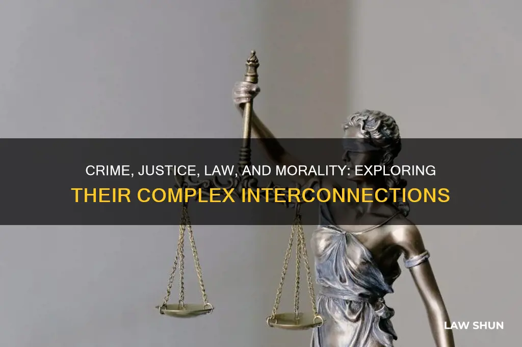Crime, Justice, Law, And Morality: Exploring Their Complex ...