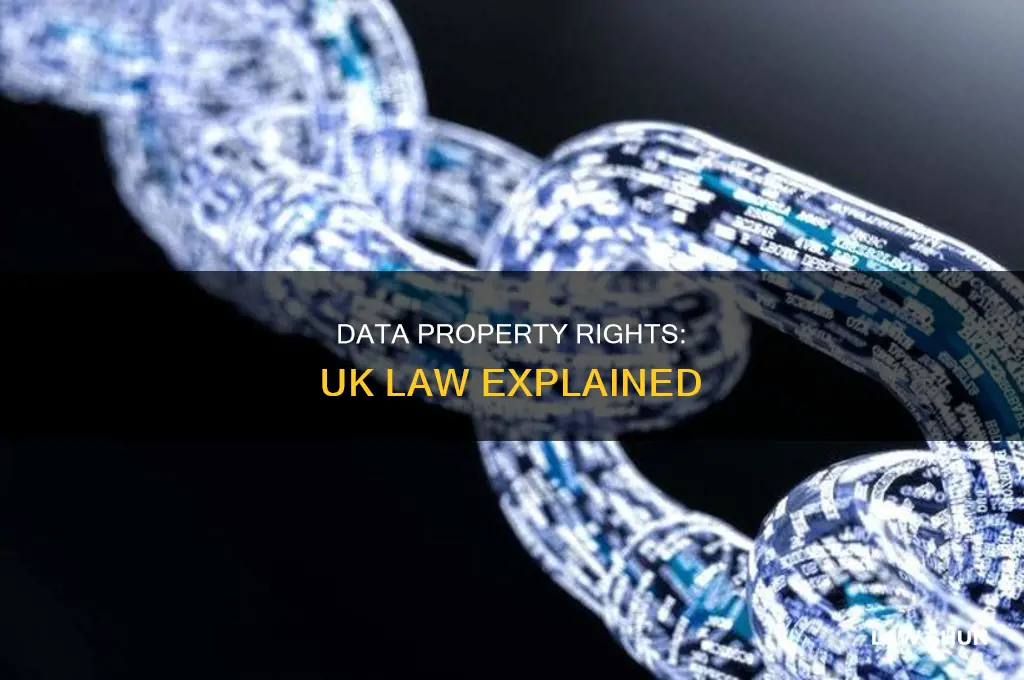 Data Property Rights: Uk Law Explained | LawShun