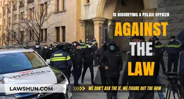 Is Lying To A Police Officer Illegal? Legal Consequences Explained ...