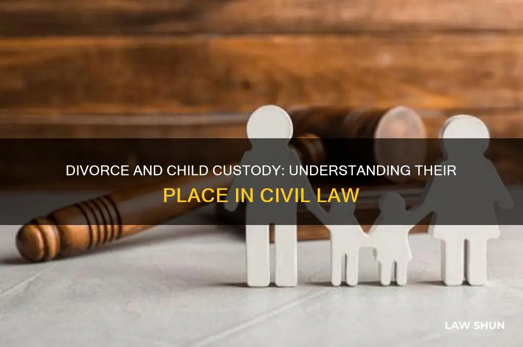 Divorce And Child Custody: Understanding Their Place In Civil Law | LawShun