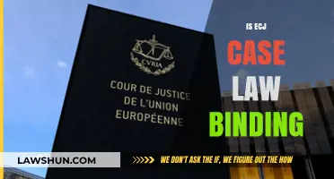 Uk And Echr Case Law: Bound Together? | LawShun