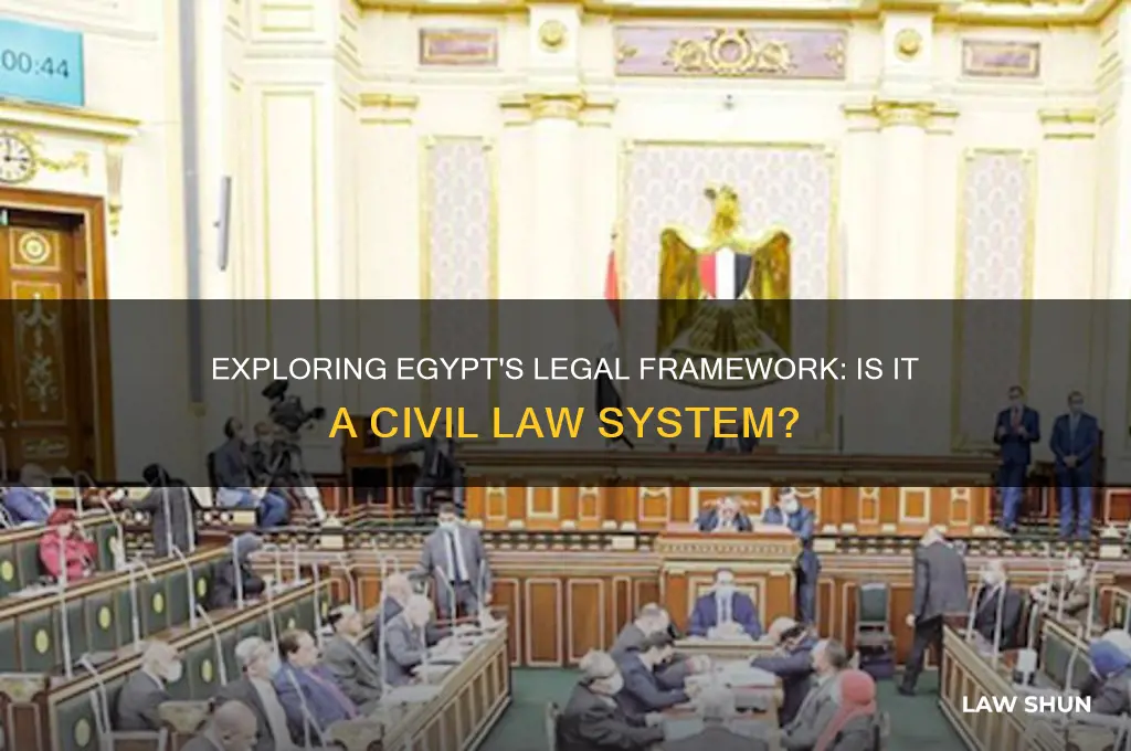 Exploring Egypt's Legal Framework: Is It A Civil Law System? | LawShun