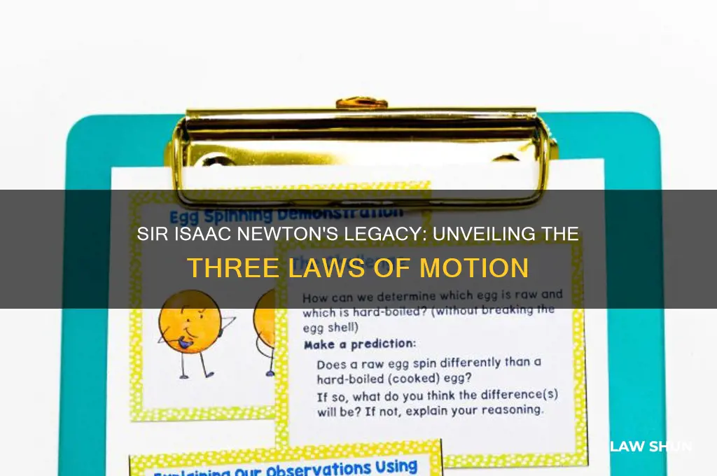 Sir Isaac Newton's Legacy: Unveiling The Three Laws Of Motion | LawShun