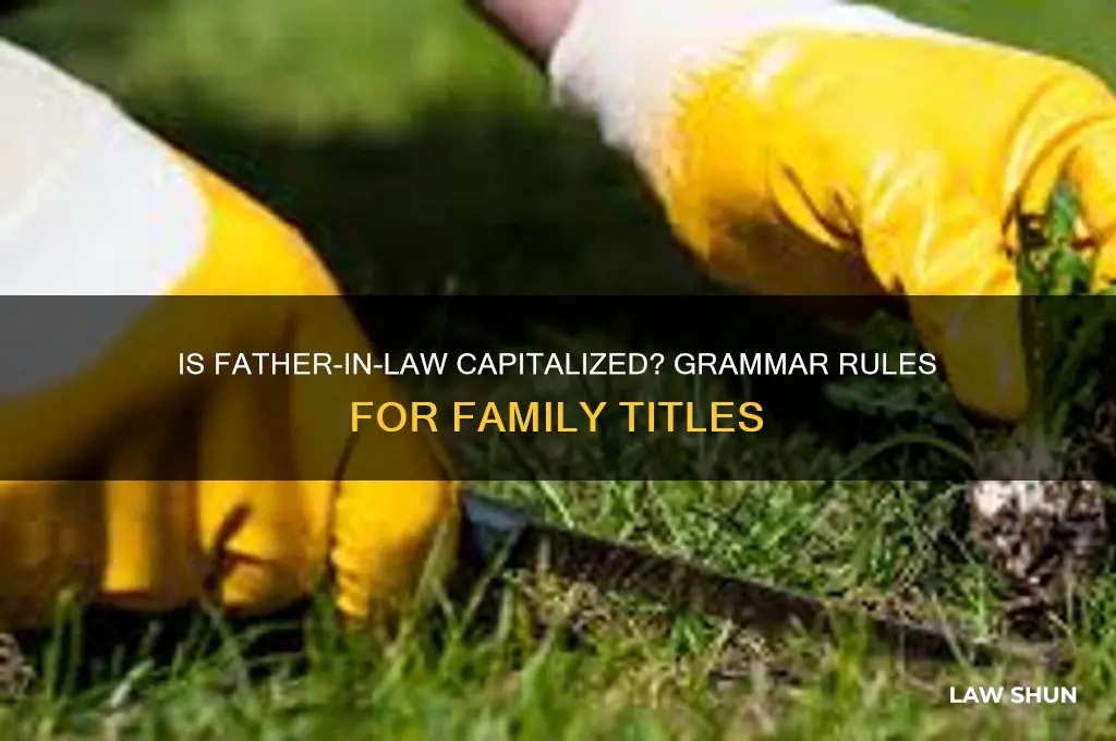 Is Father-In-Law Capitalized? Grammar Rules For Family Titles | LawShun