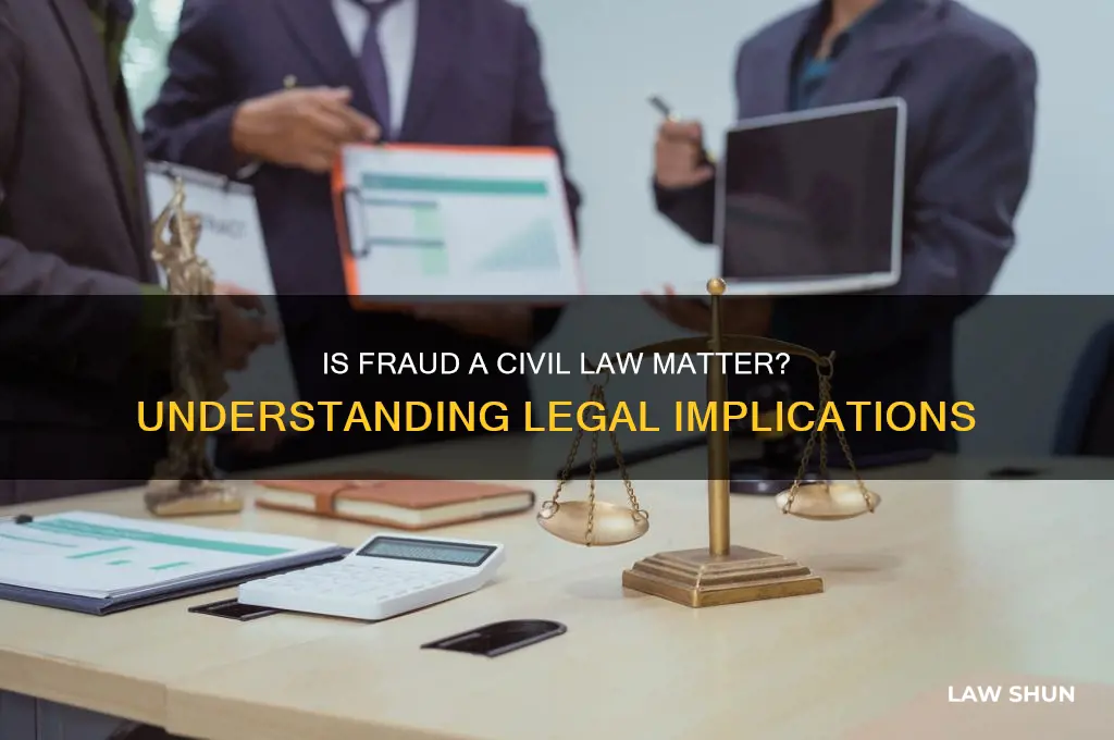 Is Fraud A Civil Law Matter? Understanding Legal Implications | LawShun