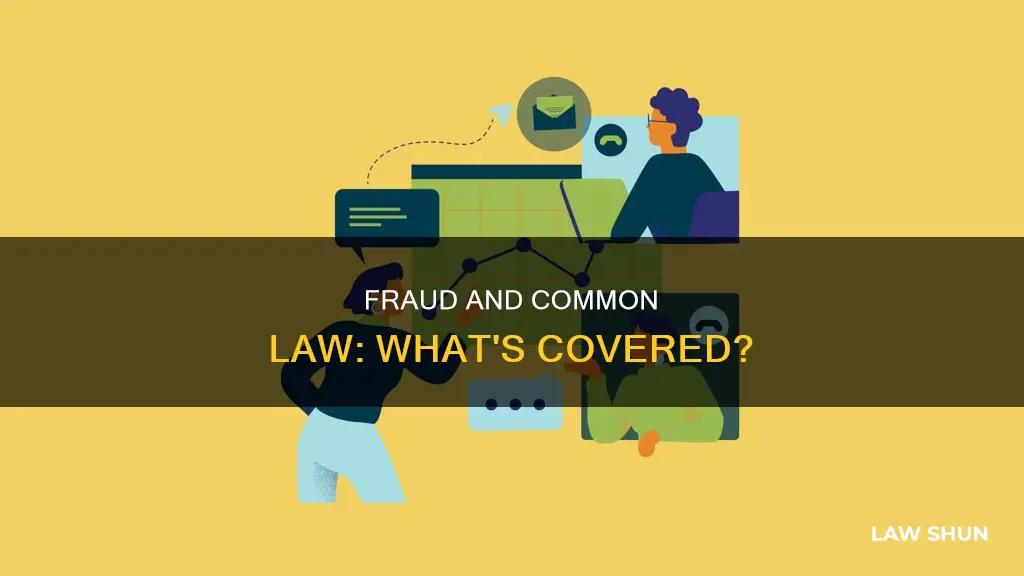 Fraud And Common Law: What's Covered? | LawShun