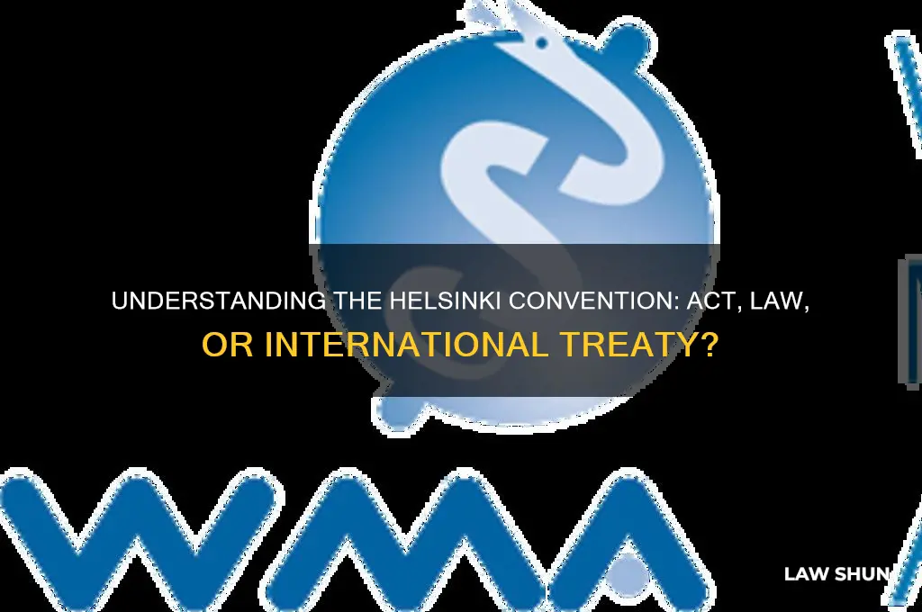 Understanding The Helsinki Convention: Act, Law, Or International ...