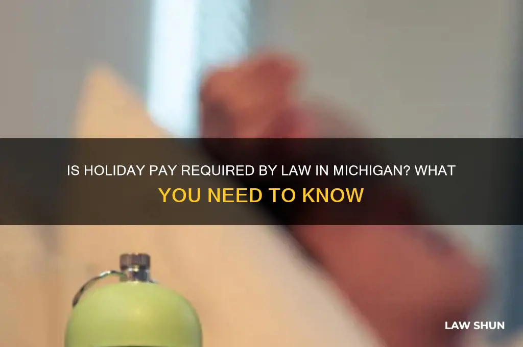 Is Holiday Pay Required By Law In Michigan? What You Need To Know | LawShun