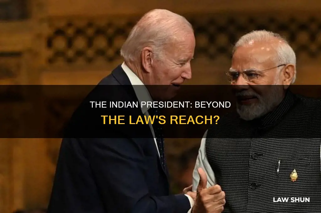 The Indian President: Beyond The Law's Reach? | LawShun