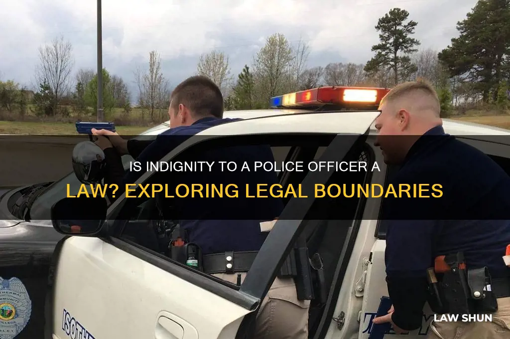 Is Indignity To A Police Officer A Law? Exploring Legal Boundaries ...