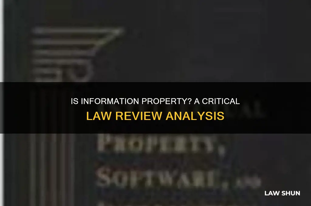Is Information Property? A Critical Law Review Analysis | LawShun