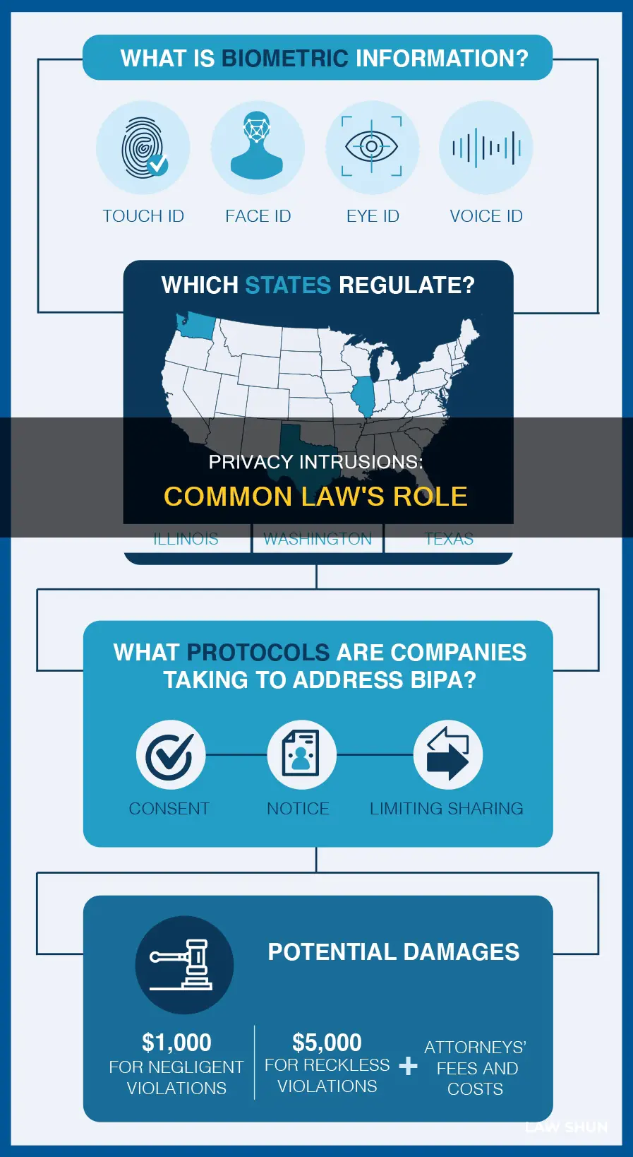 Privacy Intrusions: Common Law's Role | LawShun