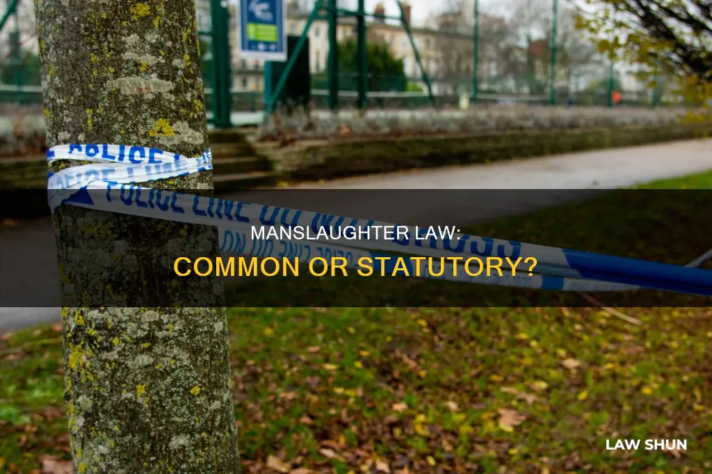 Manslaughter Law: Common Or Statutory? | LawShun