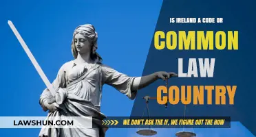 Japan's Legal System: Common Or Civil Law? | LawShun