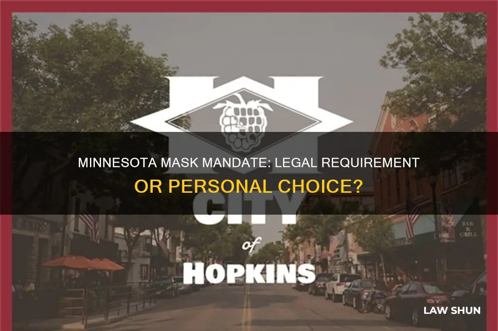 Minnesota Mask Mandate: Legal Requirement Or Personal Choice? | LawShun