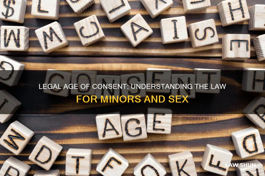Legal Age Of Consent: Understanding The Law For Minors And Sex | LawShun