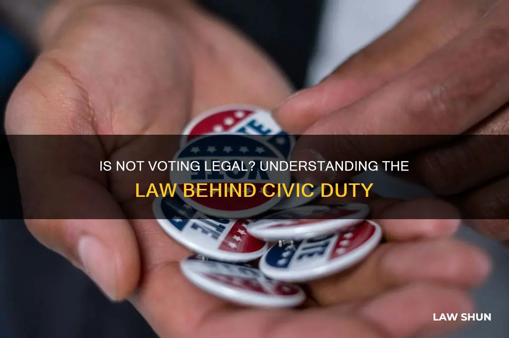 Is Not Voting Legal? Understanding The Law Behind Civic Duty | LawShun