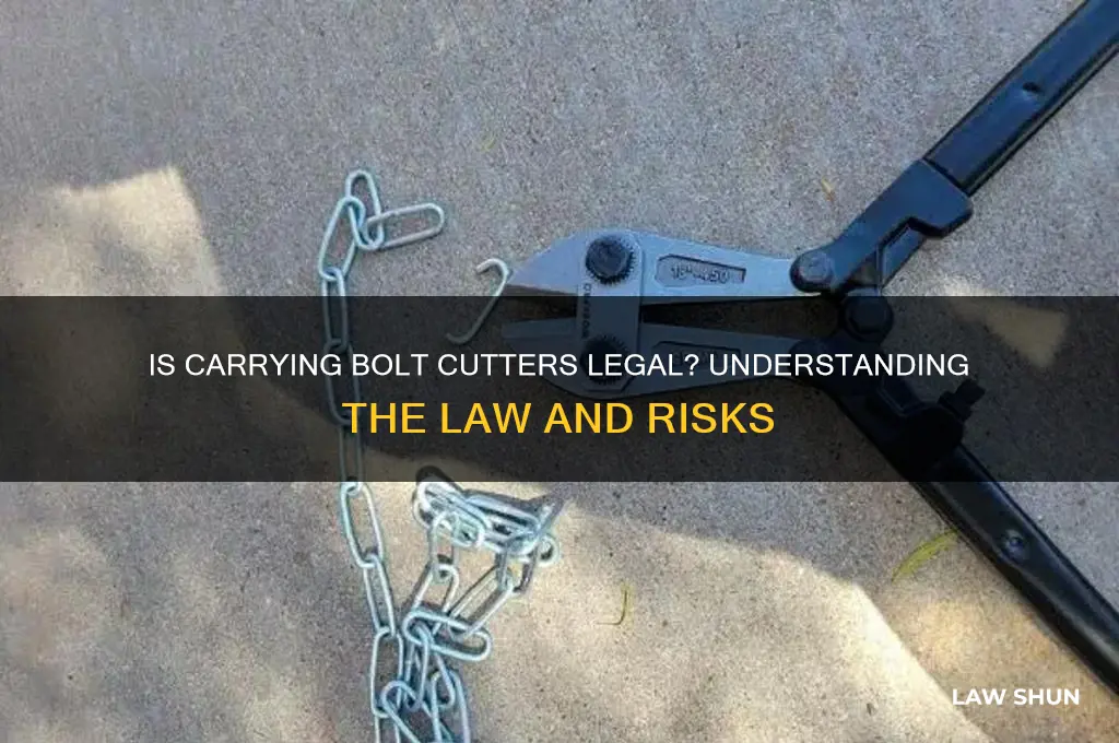 Is Carrying Bolt Cutters Legal? Understanding The Law And Risks | LawShun