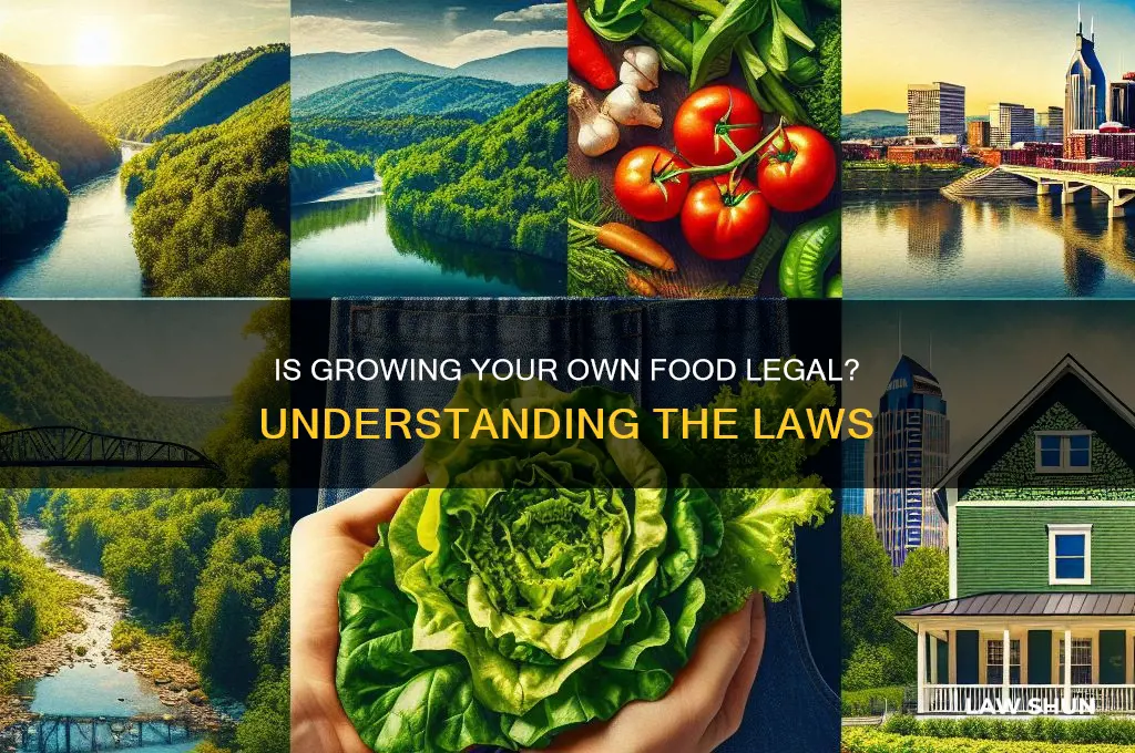 Is Growing Your Own Food Legal? Understanding The Laws | LawShun