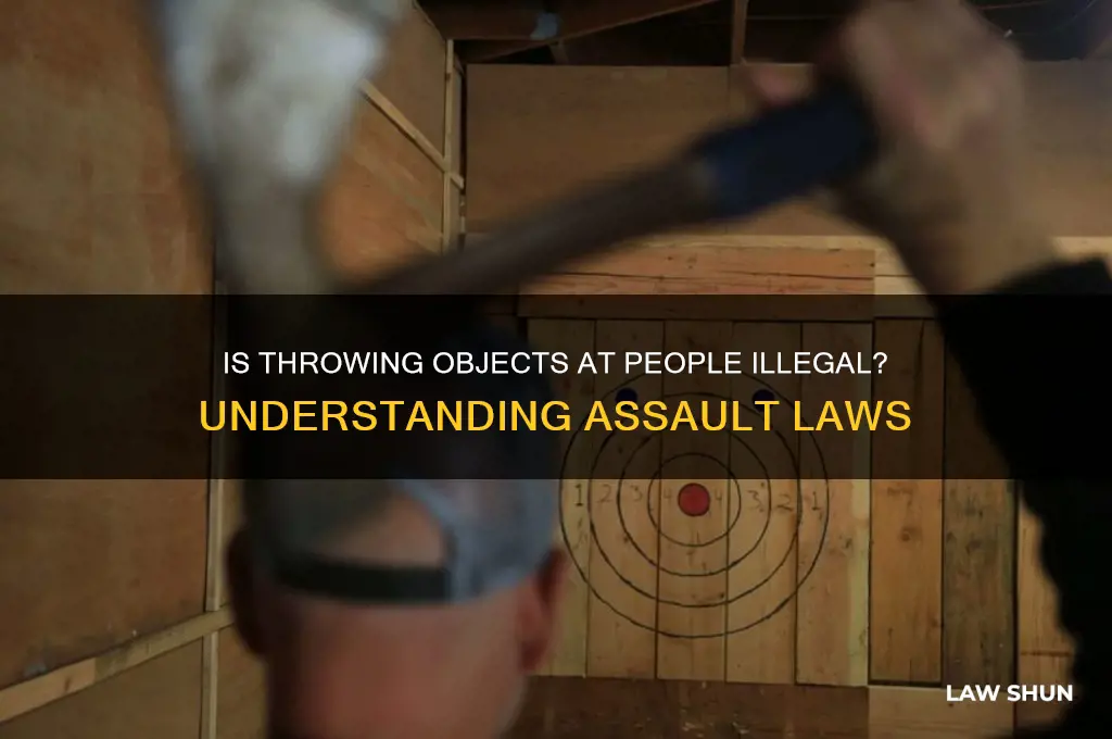 Is Throwing Objects At People Illegal? Understanding Assault Laws | LawShun