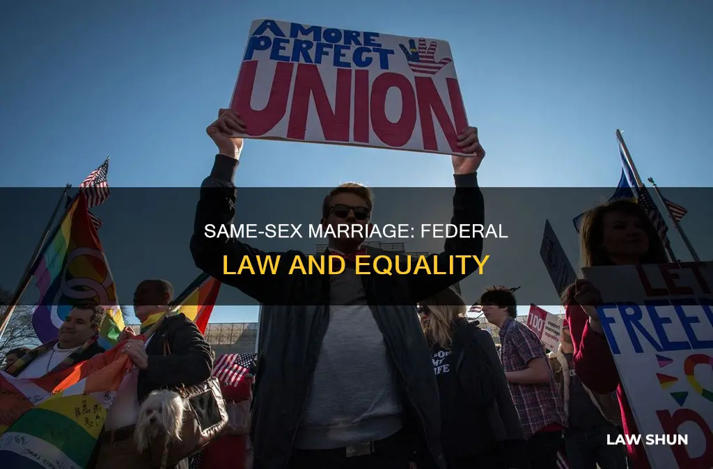 Same-Sex Marriage: Federal Law And Equality | LawShun