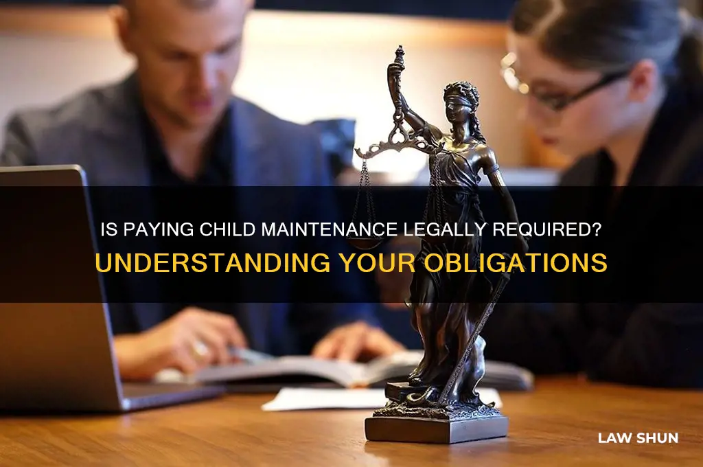 Is Paying Child Maintenance Legally Required? Understanding Your ...